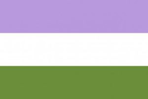 THE ULTIMATE GUIDE TO LGBTQ+ PRIDE FLAGS – EVOL LGBT