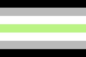 THE ULTIMATE GUIDE TO LGBTQ+ PRIDE FLAGS – EVOL LGBT