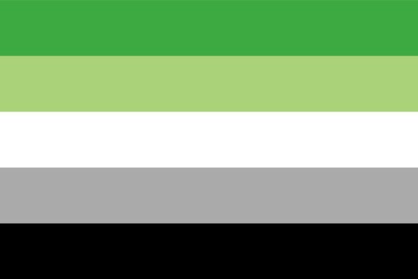 THE ULTIMATE GUIDE TO LGBTQ+ PRIDE FLAGS – EVOL LGBT