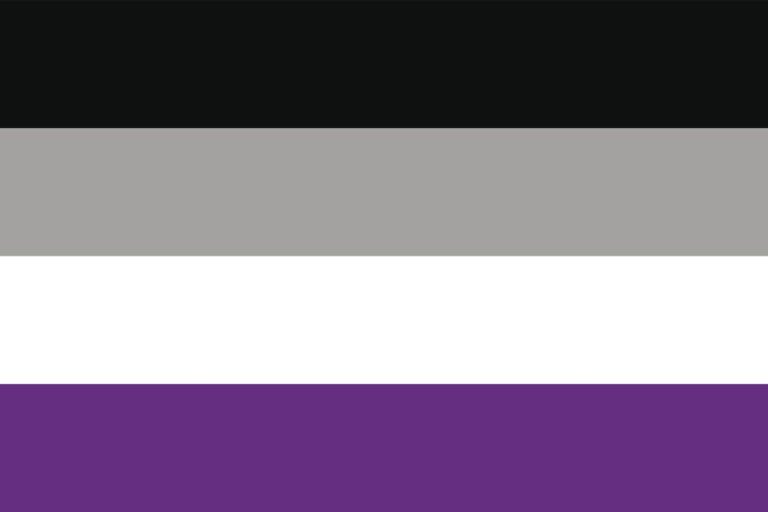 THE ULTIMATE GUIDE TO LGBTQ+ PRIDE FLAGS – EVOL LGBT