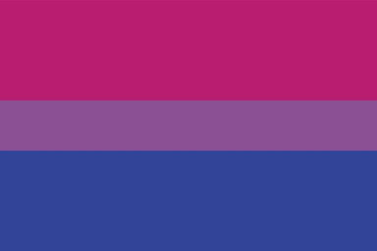 THE ULTIMATE GUIDE TO LGBTQ+ PRIDE FLAGS – EVOL LGBT