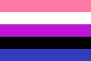 THE ULTIMATE GUIDE TO LGBTQ+ PRIDE FLAGS – EVOL LGBT