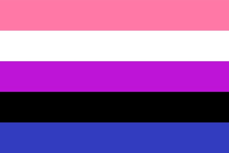 THE ULTIMATE GUIDE TO LGBTQ+ PRIDE FLAGS – EVOL LGBT