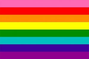 THE ULTIMATE GUIDE TO LGBTQ+ PRIDE FLAGS – EVOL LGBT