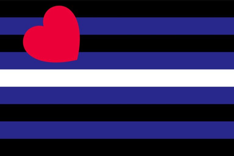 THE ULTIMATE GUIDE TO LGBTQ+ PRIDE FLAGS – EVOL LGBT
