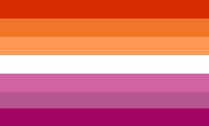THE ULTIMATE GUIDE TO LGBTQ+ PRIDE FLAGS – EVOL LGBT
