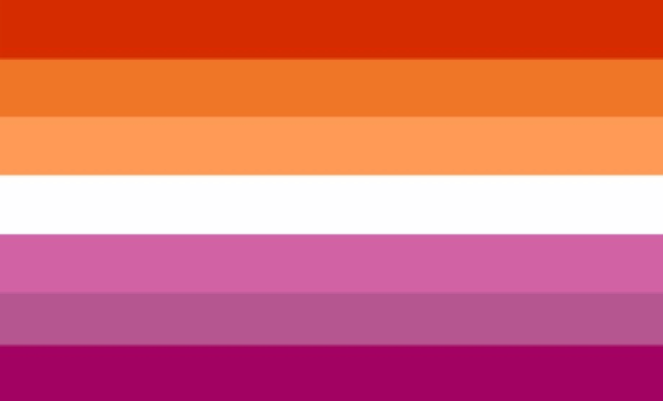 THE ULTIMATE GUIDE TO LGBTQ+ PRIDE FLAGS – EVOL LGBT