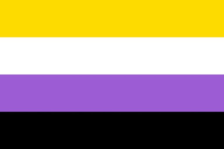 THE ULTIMATE GUIDE TO LGBTQ+ PRIDE FLAGS – EVOL LGBT