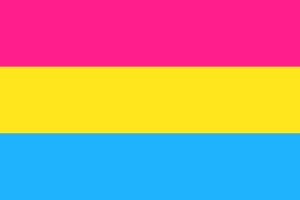 THE ULTIMATE GUIDE TO LGBTQ+ PRIDE FLAGS – EVOL LGBT