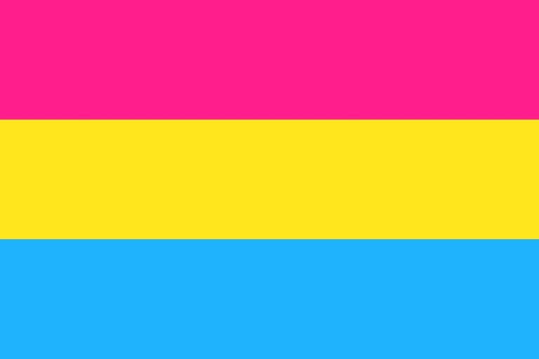 THE ULTIMATE GUIDE TO LGBTQ+ PRIDE FLAGS – EVOL LGBT