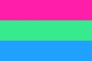 THE ULTIMATE GUIDE TO LGBTQ+ PRIDE FLAGS – EVOL LGBT
