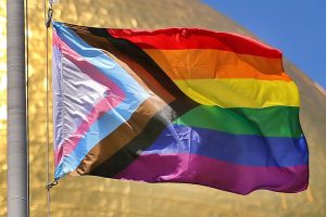 THE ULTIMATE GUIDE TO LGBTQ+ PRIDE FLAGS – EVOL LGBT
