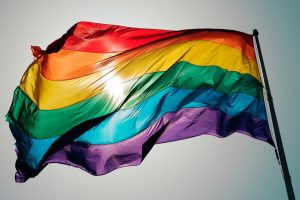 THE ULTIMATE GUIDE TO LGBTQ+ PRIDE FLAGS – EVOL LGBT