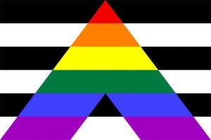 THE ULTIMATE GUIDE TO LGBTQ+ PRIDE FLAGS – EVOL LGBT