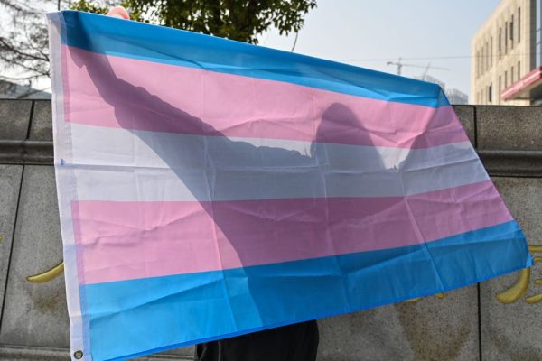 THE ULTIMATE GUIDE TO LGBTQ+ PRIDE FLAGS – EVOL LGBT