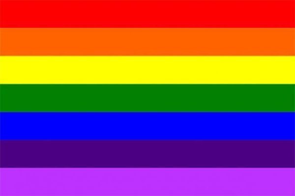 28 flag LGBTQ+ PRIDE: LESBIJKA, GEJ, BISEXUALNA+ [2021]